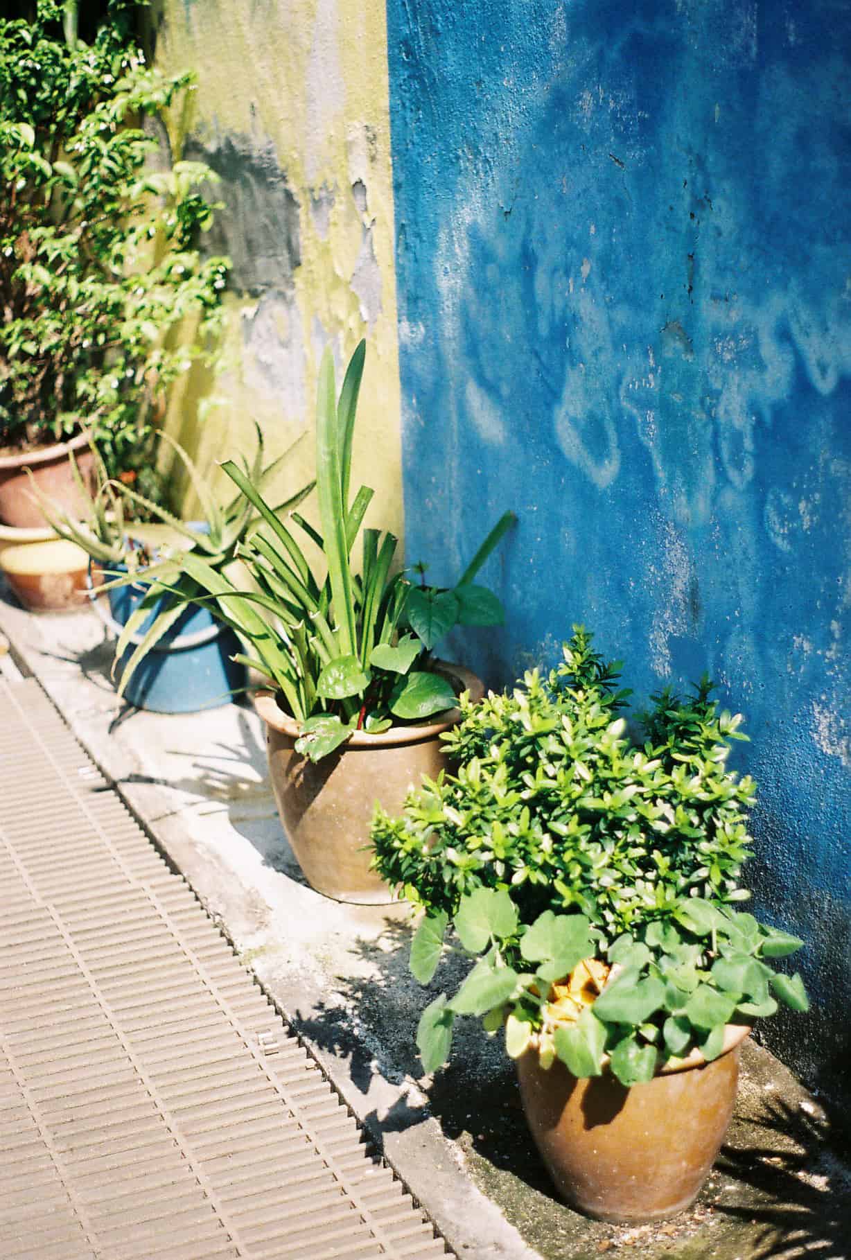 Street Art and Chill Vibes in Penang - Katrinka Abroad
